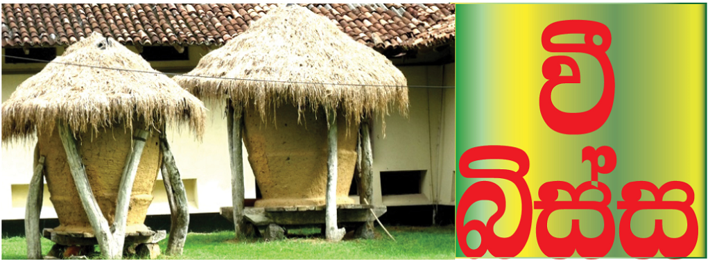 වී බිස්ස – Tap Online Science Magazine